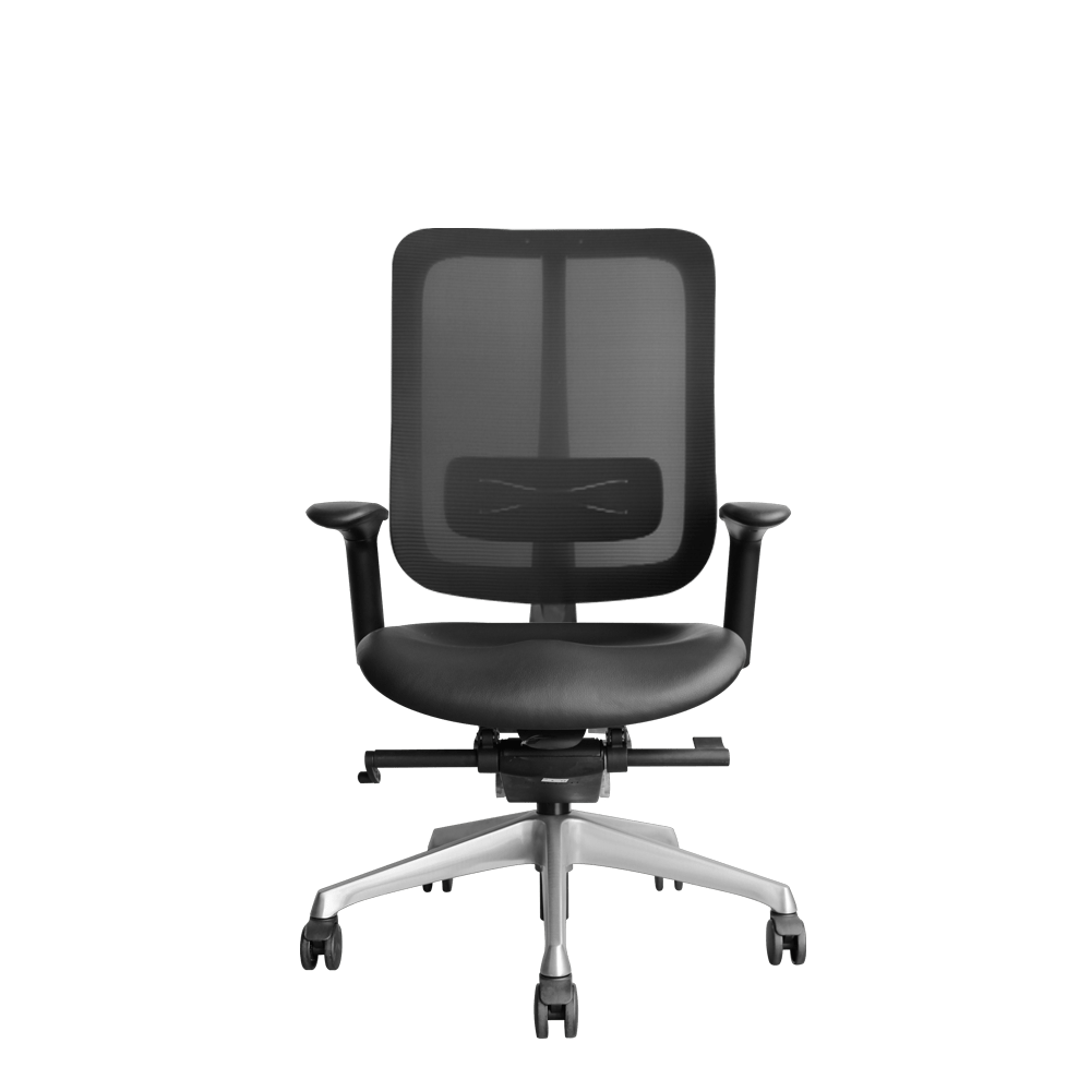 Online Store - Proflex Office